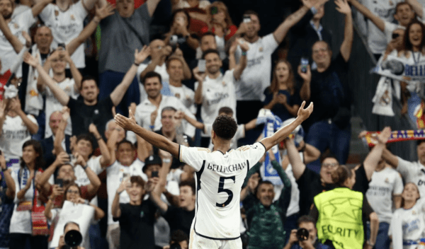 The Bellingham Effect - The Stork