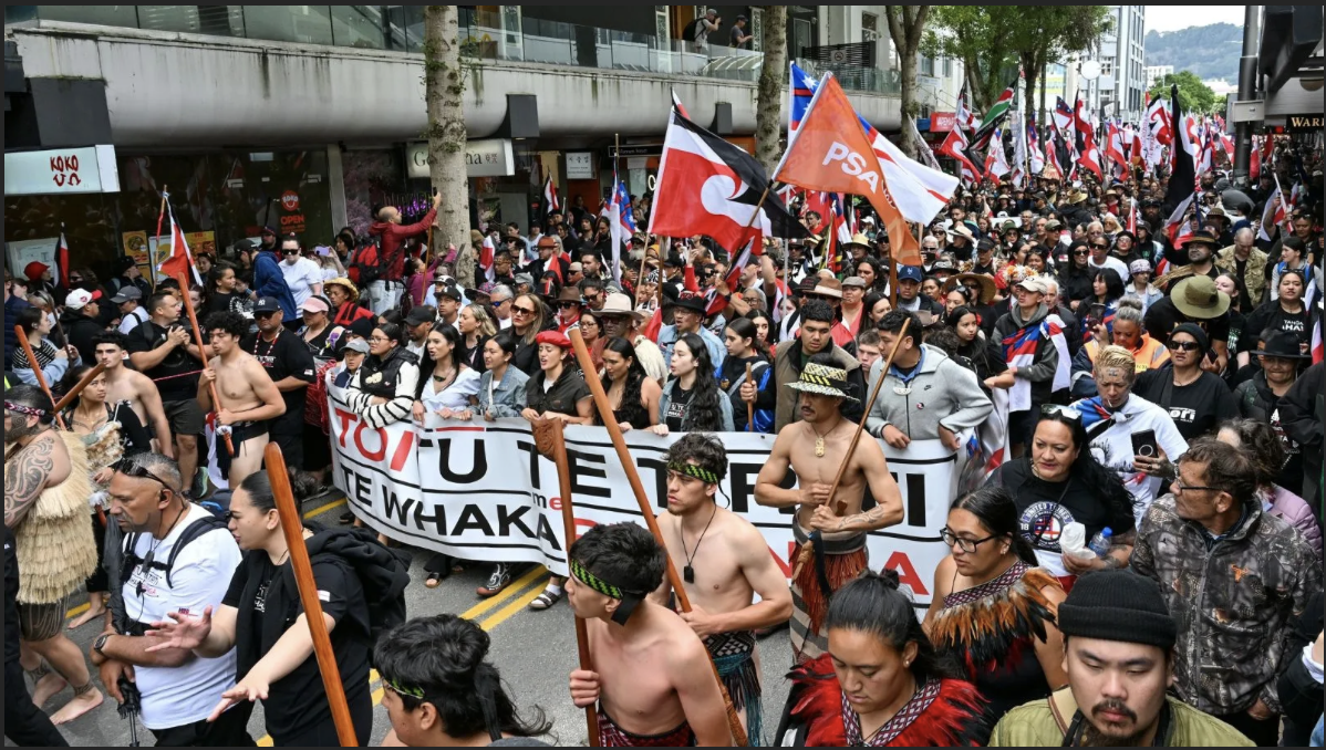 What To Know About The New Zealand Protests - The Stork