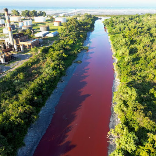 Blood-Red Waters In Buenos Aires: A Toxic Warning? - The Stork